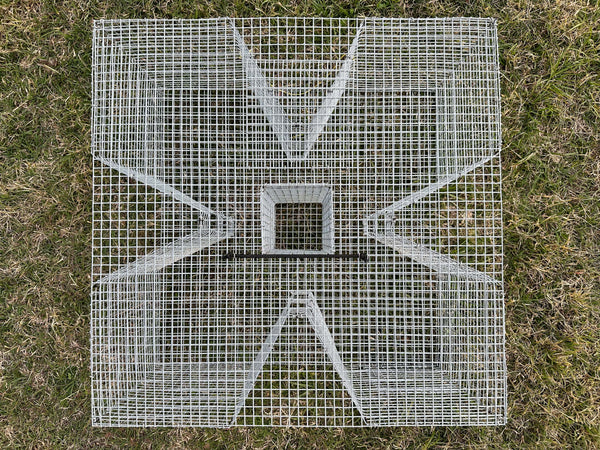 Premium Cloverleaf Bait Fish Trap – Reel Texas Outdoors