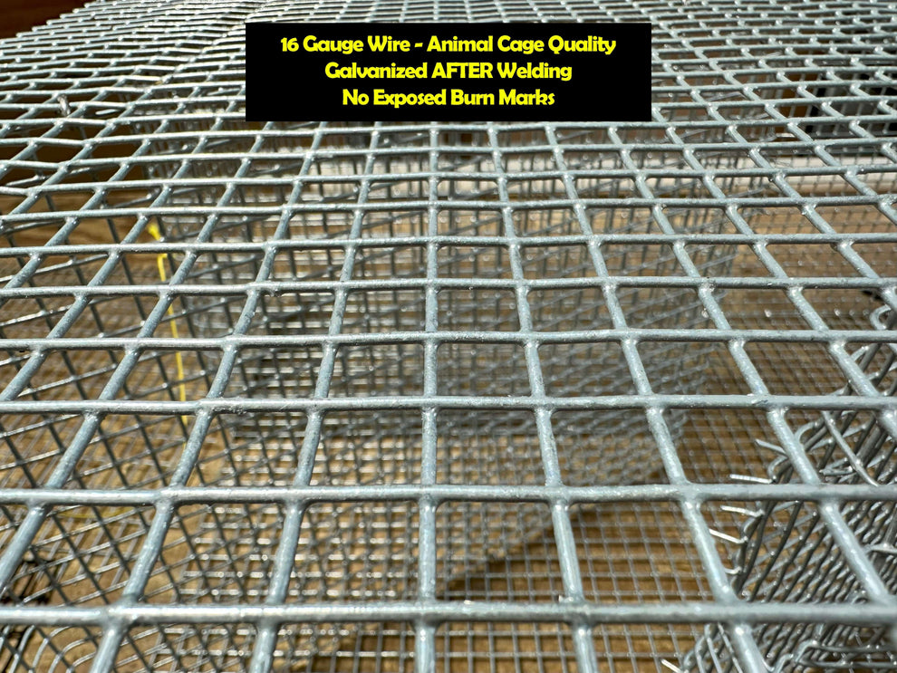 Z-Bait Fish Trap - PREMIUM QUAILITY (Pinfish Trap, Perch Trap, Bream T ...