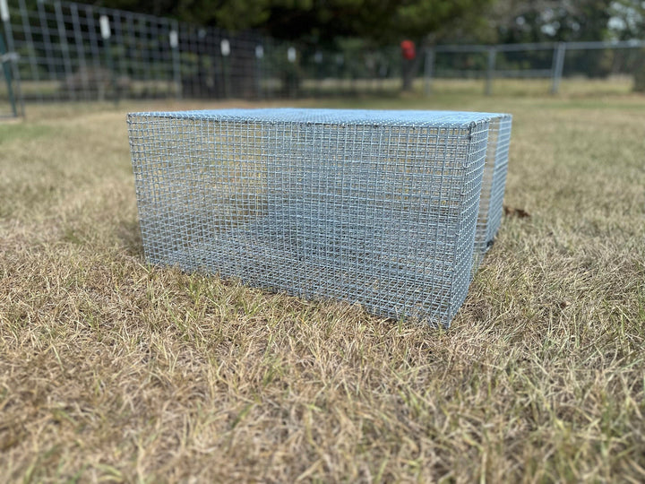 Bait Fish Traps (Handmade) | Perch, Bream & Pinfish Traps | Reel Texas ...