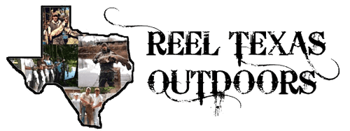 Z-Bait Fish Trap (Bream, Perch, Sunfish, Pinfish, Bullhead Trap) – Reel ...