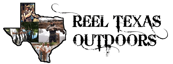 Z-Bait Fish Trap (Bream, Perch, Sunfish, Pinfish, Bullhead Trap) – Reel ...