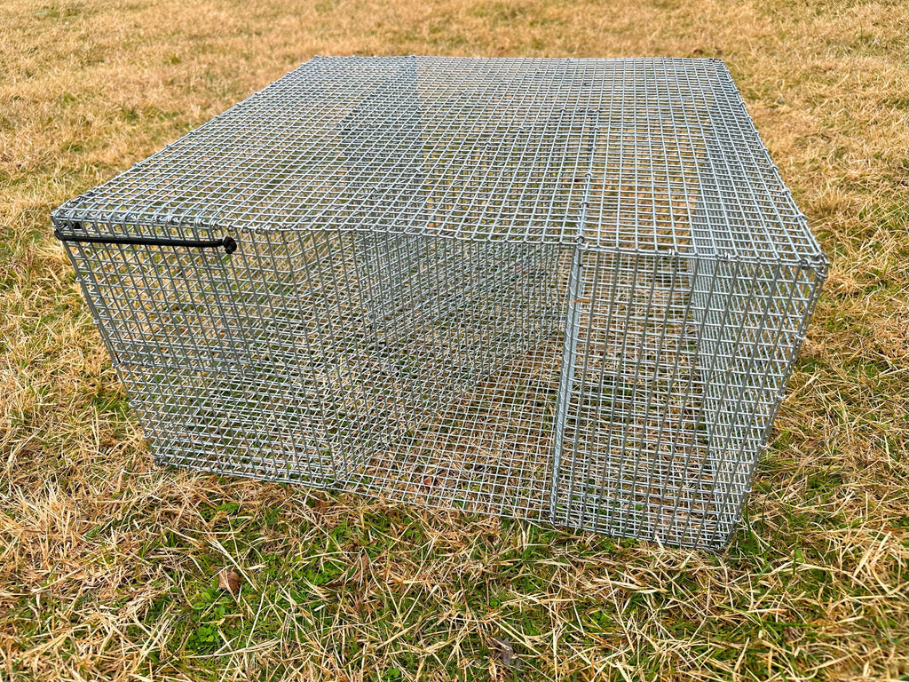 Z-Bait Fish Trap - PREMIUM QUAILITY (Pinfish Trap, Perch Trap, Bream T ...