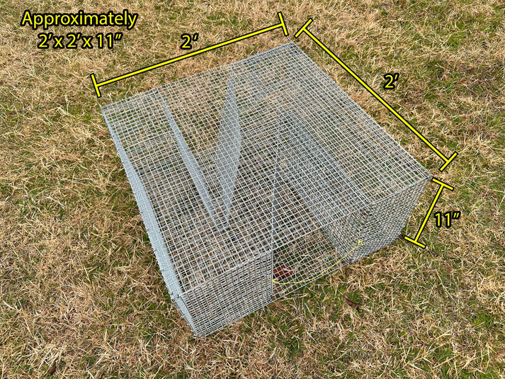 Z-Bait Fish Trap - PREMIUM QUAILITY (Pinfish Trap, Perch Trap, Bream T ...