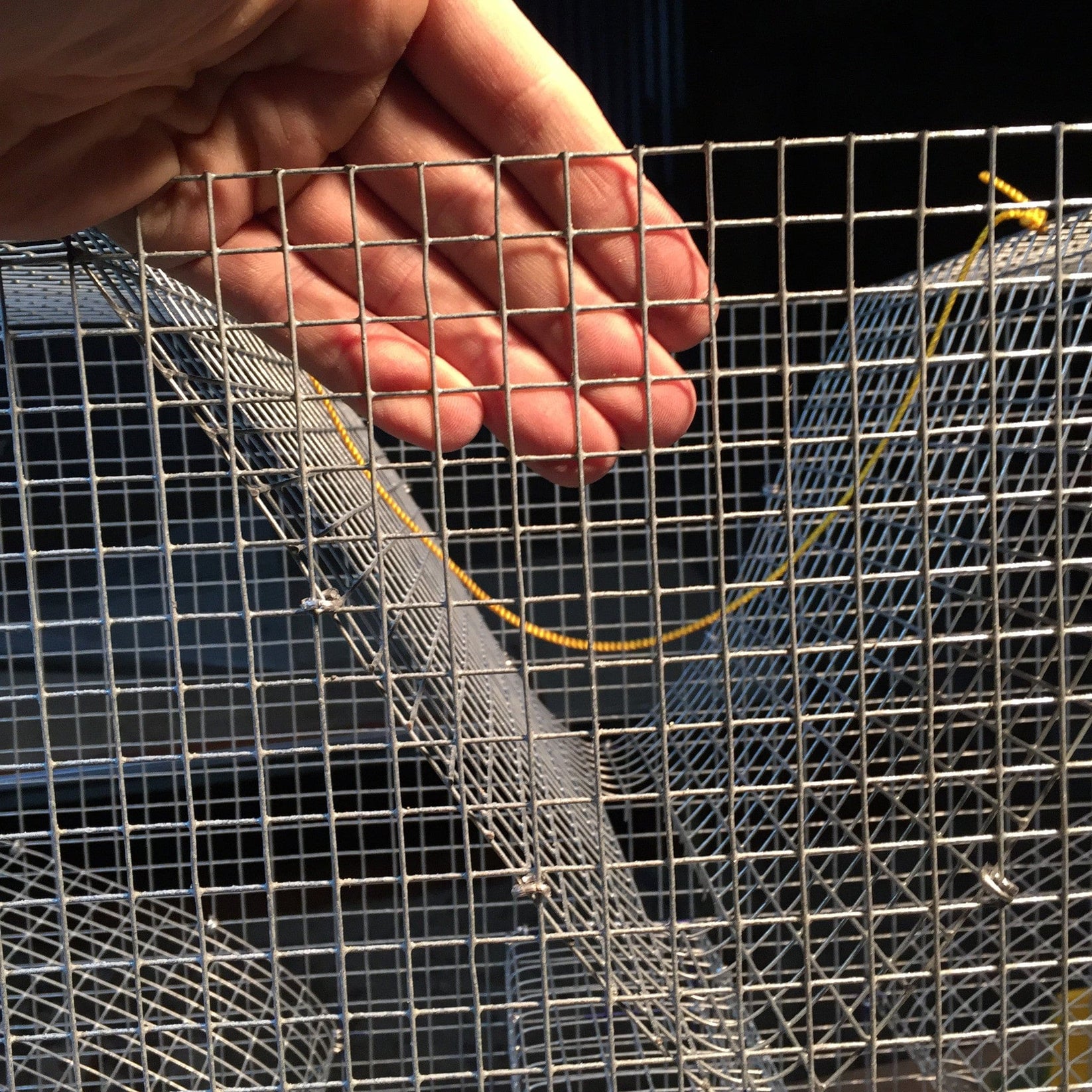 PERCH TRAP | Best Catching Cloverleaf Style | Reel Texas Outdoors