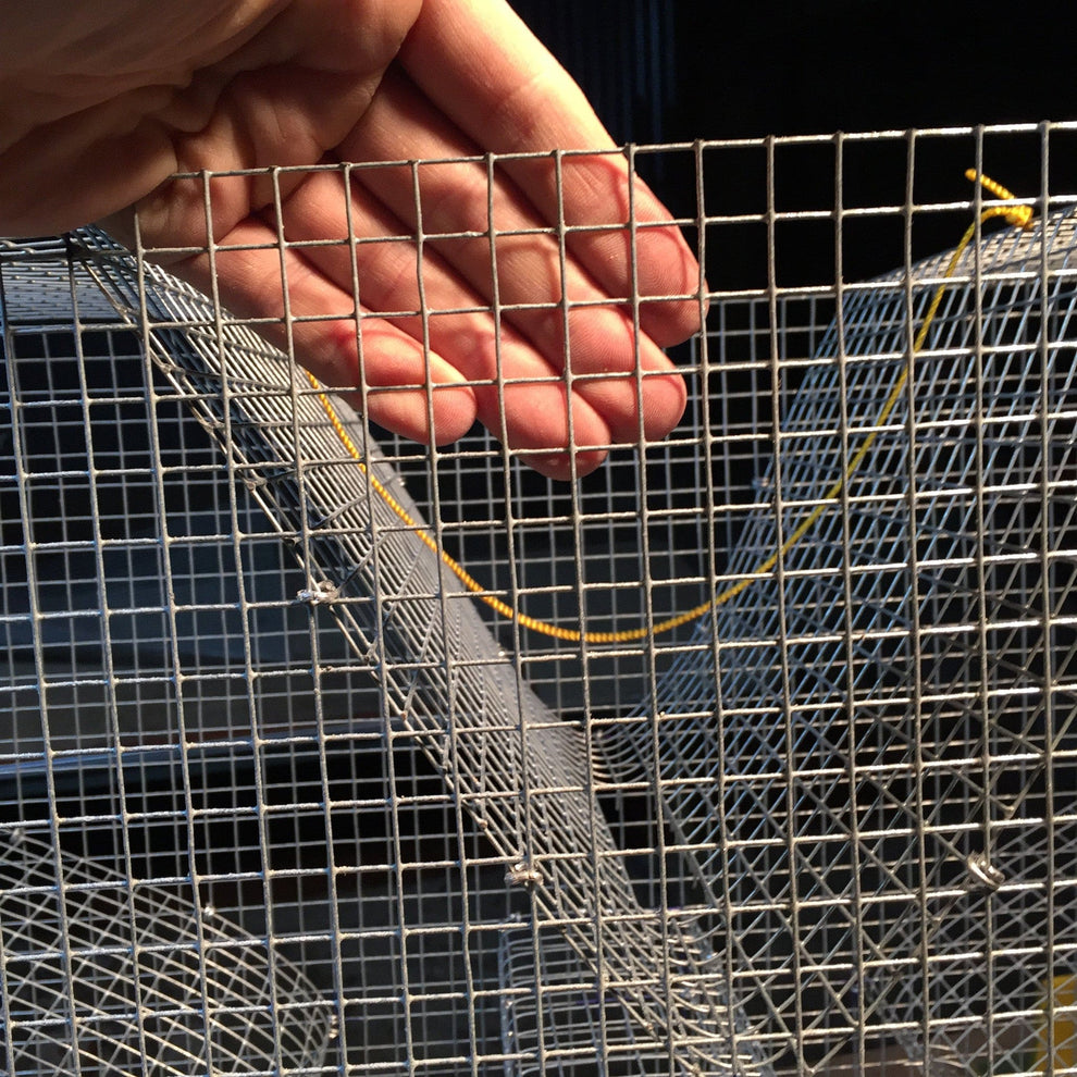 PERCH TRAP | Best Catching Cloverleaf Style | Reel Texas Outdoors