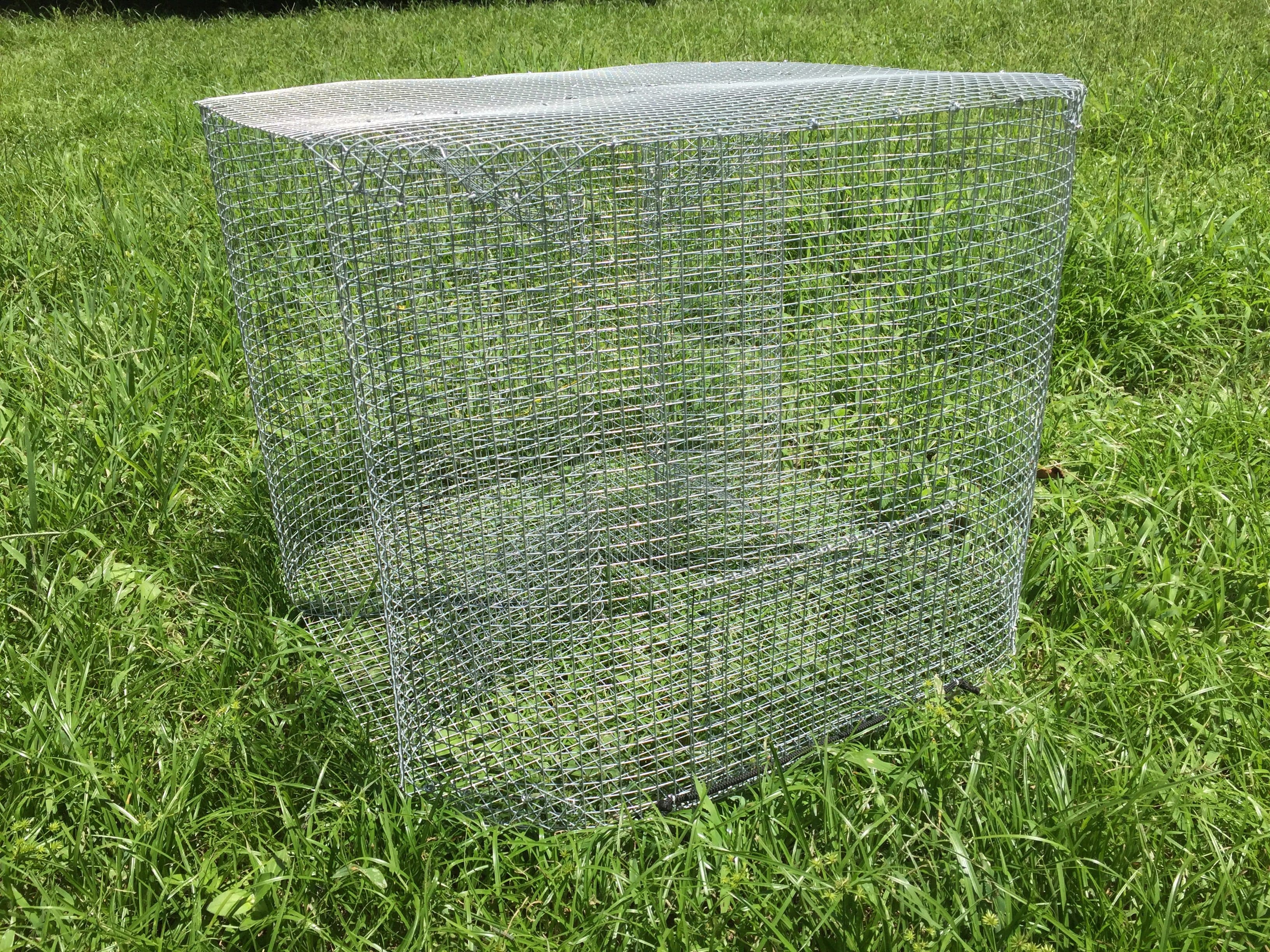 LARGE "Guide's Secret" Bait Fish Trap - Perch Trap - Pinfish Trap ...