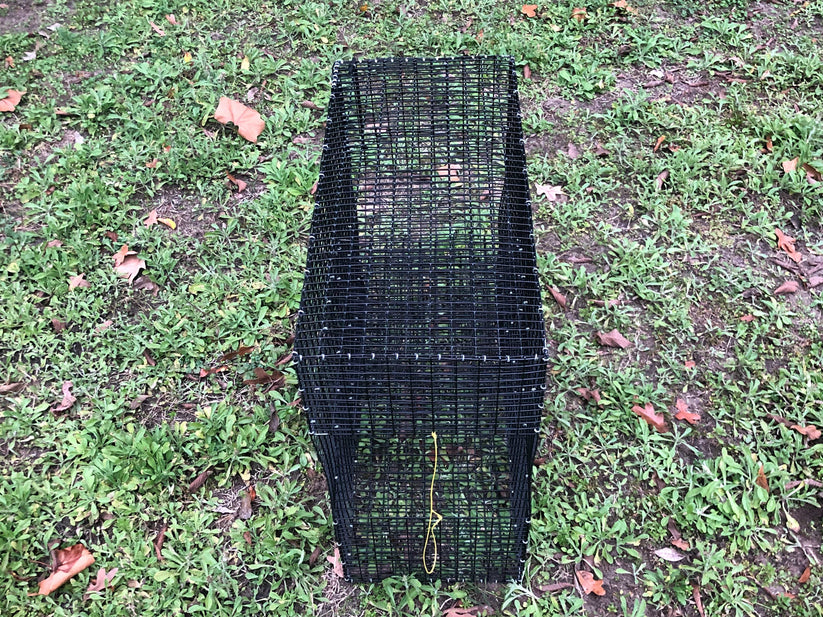 Z-Bait Fish Trap (Bream, Perch, Sunfish, Pinfish, Bullhead Trap) – Reel ...