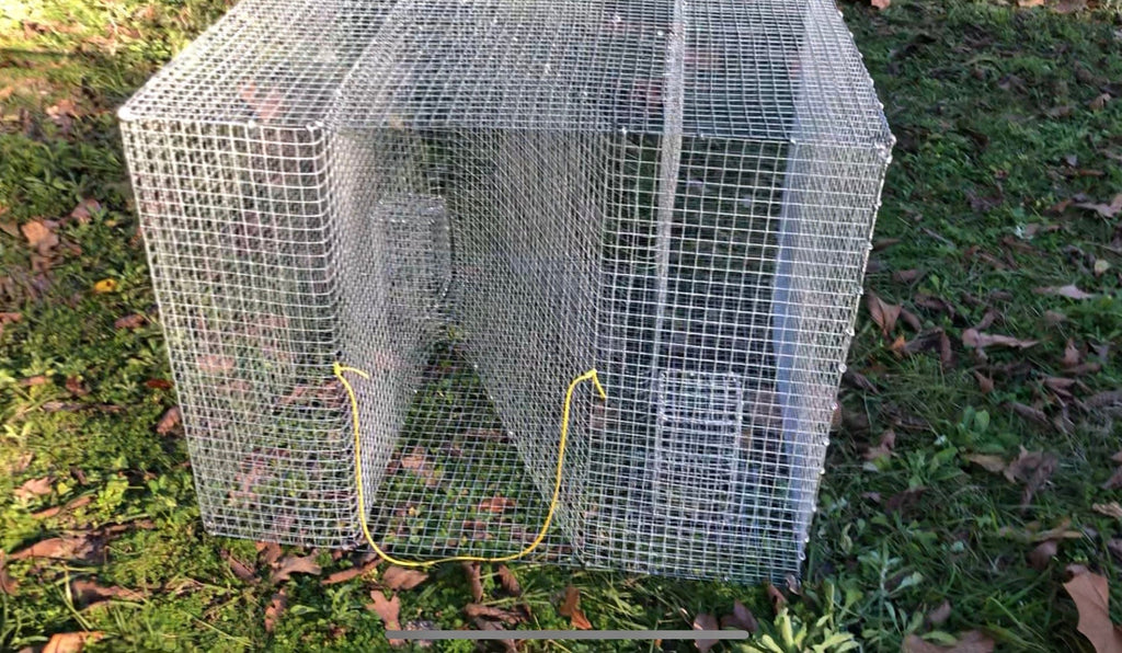 Z-Bait Fish Trap (OVERSIZED) - 18 inch Version – Reel Texas Outdoors