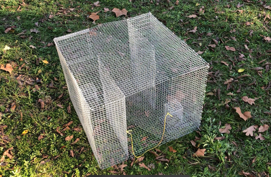 Pinfish Traps – Reel Texas Outdoors