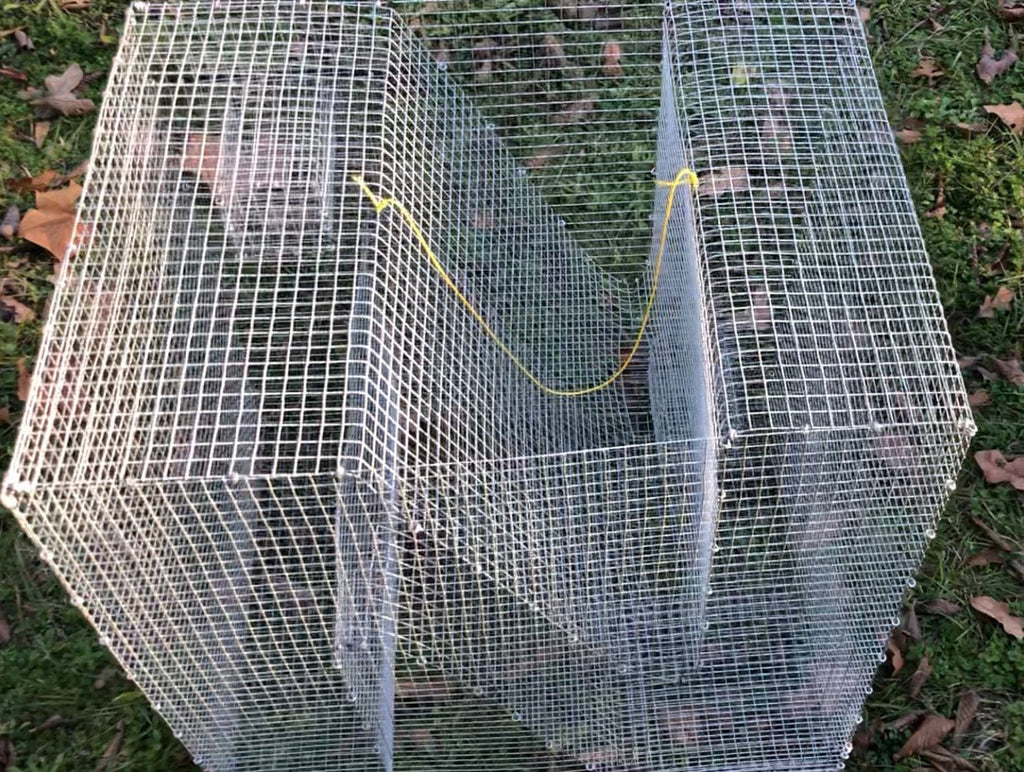 Z-Bait Fish Trap (OVERSIZED) - 18 inch Version – Reel Texas Outdoors