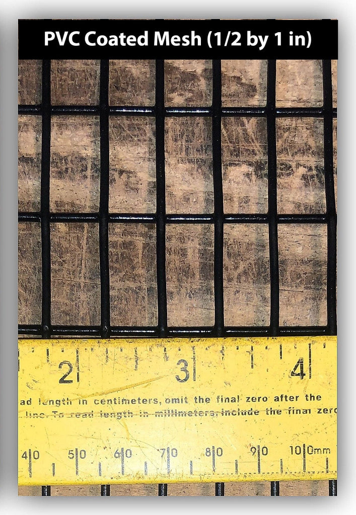 Z-Bait Fish Trap (Bream, Perch, Sunfish, Pinfish, Bullhead Trap) – Reel ...