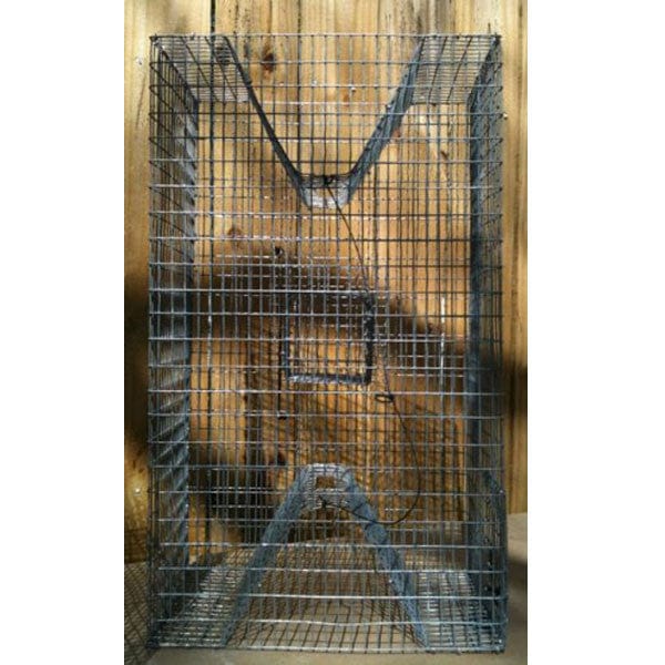 Rectangle Bait Fish Trap: Bream Trap – Perch Trap – Eel Trap – Reel ...