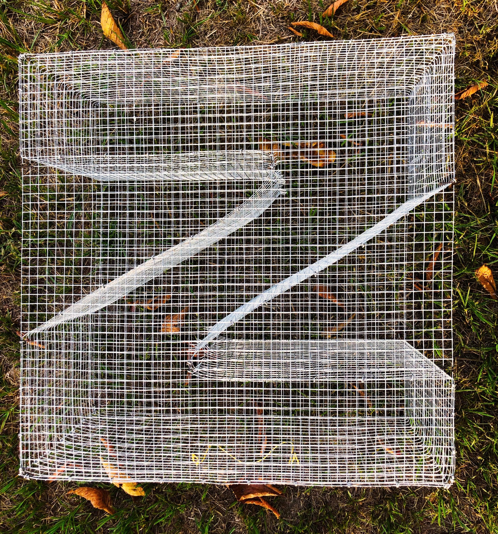 Z-Bait Fish Trap (Bream, Perch, Sunfish, Pinfish, Bullhead Trap) – Reel ...