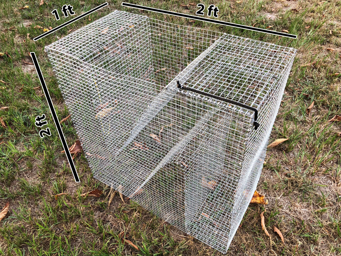 Z-Bait Fish Trap (Bream, Perch, Sunfish, Pinfish, Bullhead Trap) – Reel ...