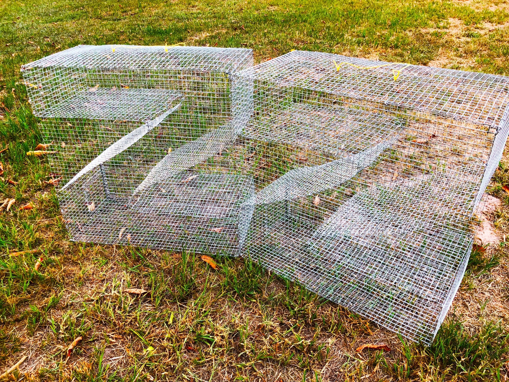 Z-Bait Fish Trap (Bream, Perch, Sunfish, Pinfish, Bullhead Trap) – Reel ...