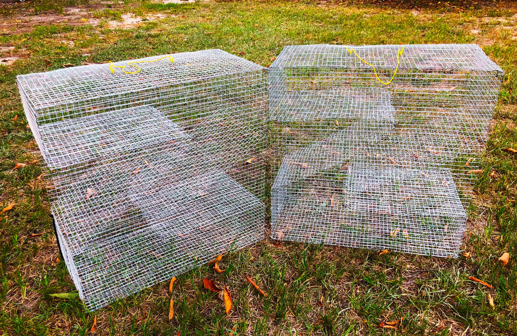 Z-Bait Fish Trap (Bream, Perch, Sunfish, Pinfish, Bullhead Trap) – Reel ...