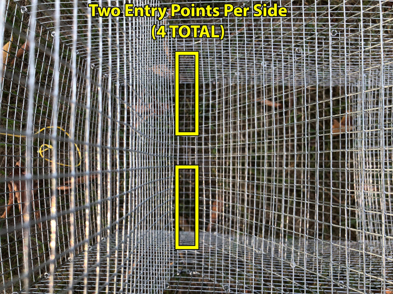 Z-Bait Fish Trap (Bream, Perch, Sunfish, Pinfish, Bullhead Trap) – Reel ...