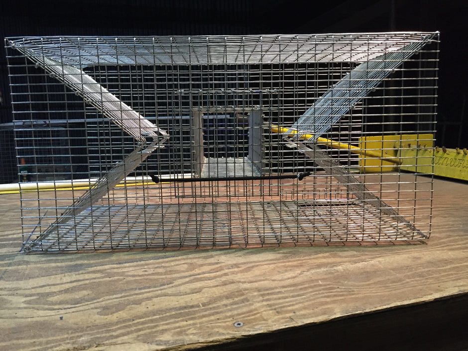 Bait Fish Traps (Handmade) | Perch, Bream & Pinfish Traps | Reel Texas ...