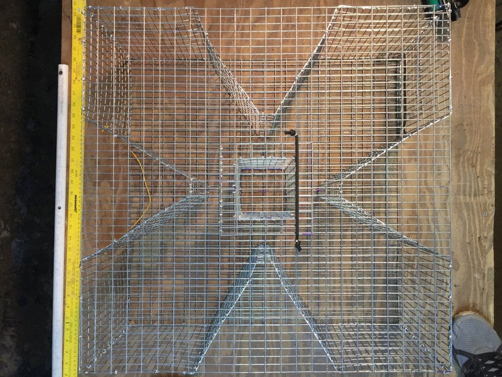 HEAVY DUTY Cloverleaf Bait Fish Trap - Perch Trap - Bream Trap - Pinfi ...